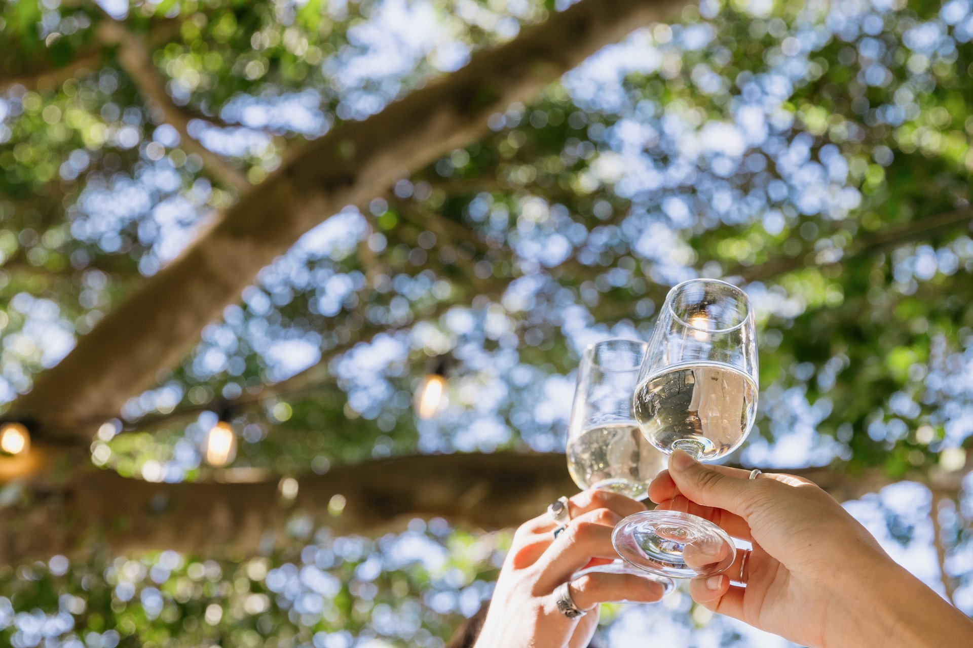 Sirromet Winery Wedding Venue | Prices & Reviews | Bridebook